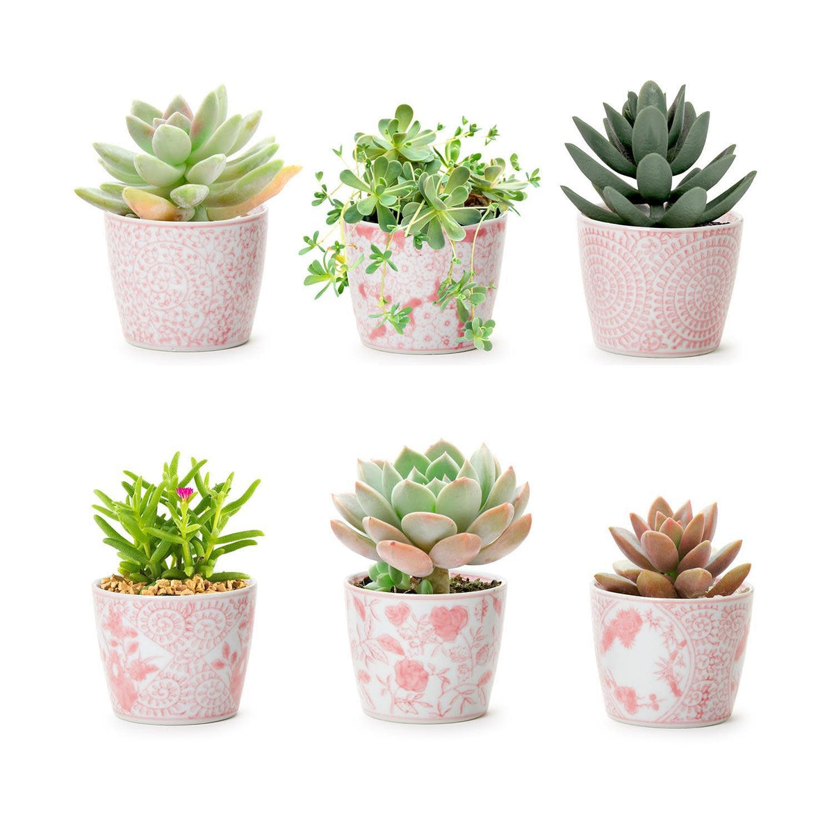Pink Chinoiserie Cachepot – Amber Marie and Company